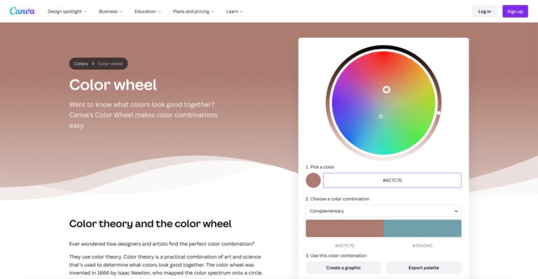 8 Composition Tips for Portrait Photography: The Beginner's Guide