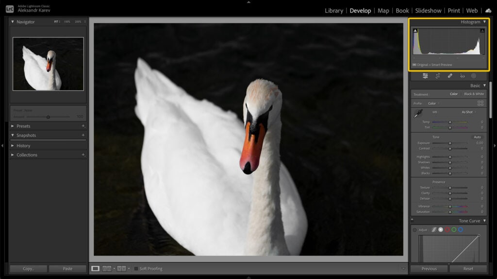 A Beginner's Guide to Understanding Histograms in Photography