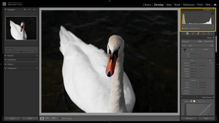 A Beginner's Guide to Understanding Histograms in Photography