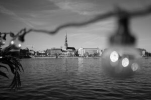 Understanding Depth of Field in Photography (2025 Guide)