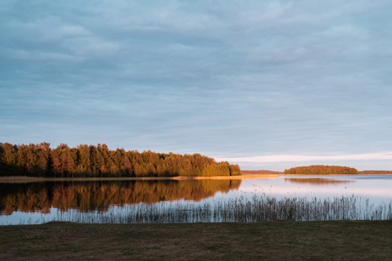 A Deep Dive into Camera Shooting Modes for Beginners