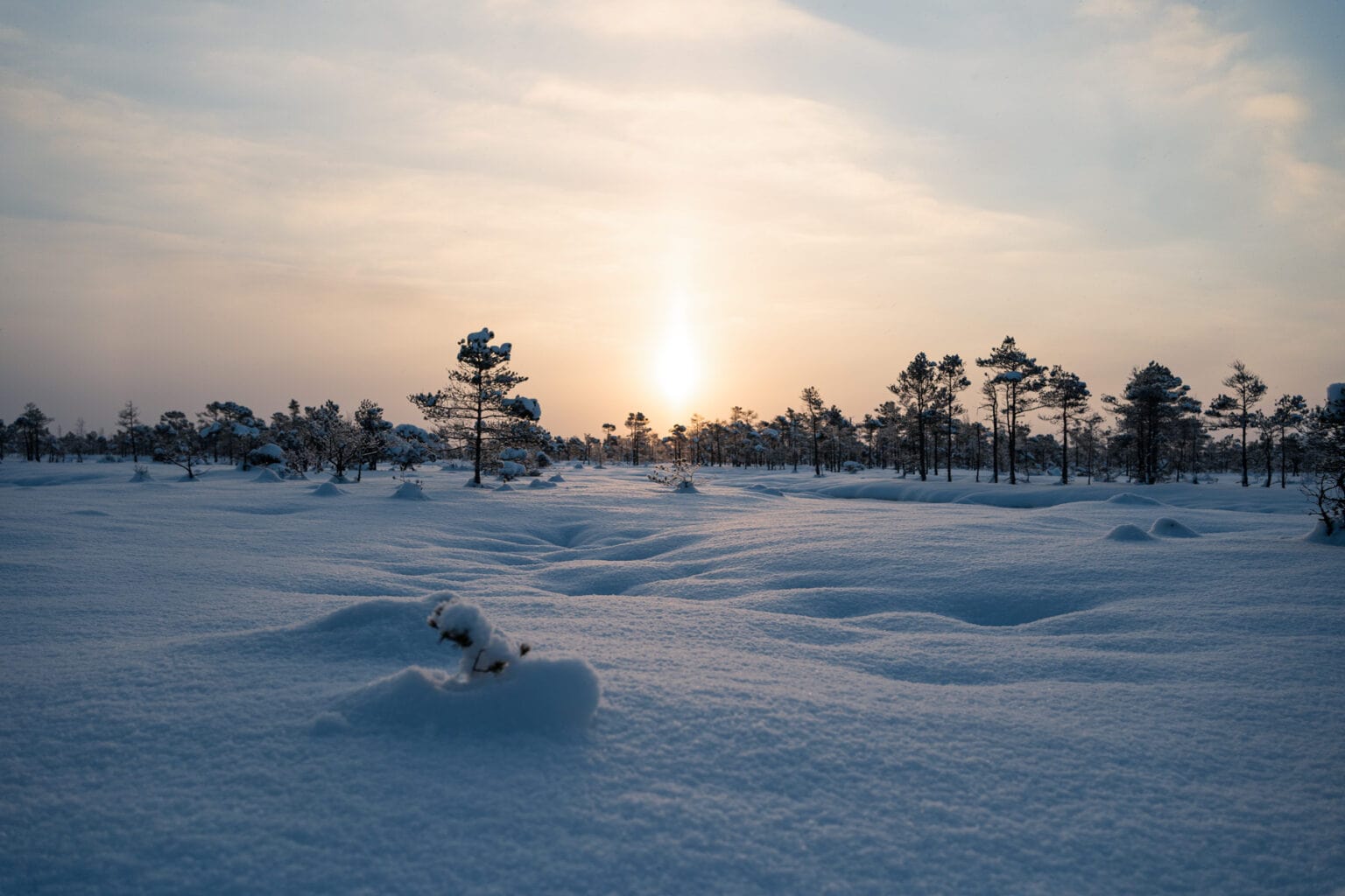 Exploring Photography Genres: Landscape, Portrait, Street & More