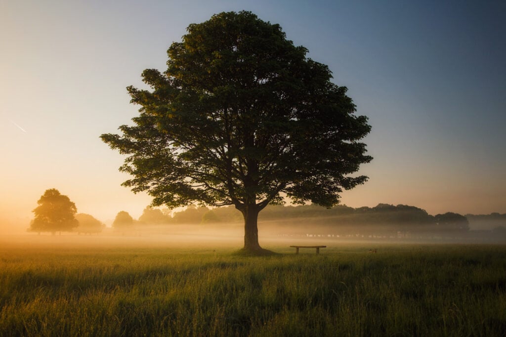 Negative Space in Photography: Creating Minimalistic Photos